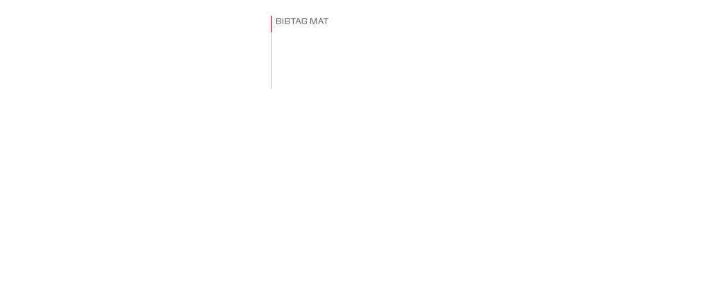 BibTag Timing System for Running - MYLAPS